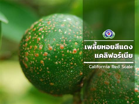 Thepwatana เพื่อนคู่คิด เคียงข้างเกษตรกร