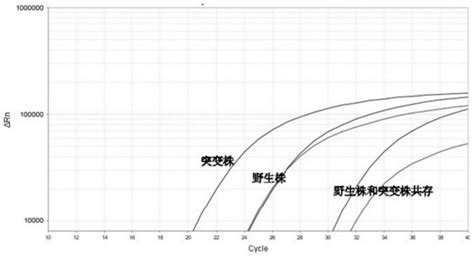 一种检测乙型肝炎病毒前S2区缺失突变的引物探针及方法与流程