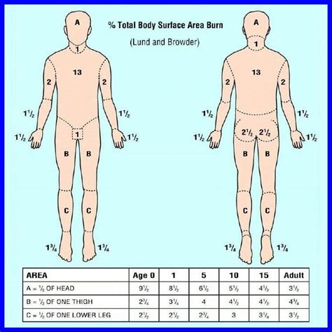 Burn Surface Educational Apps App Pictures Nursing School