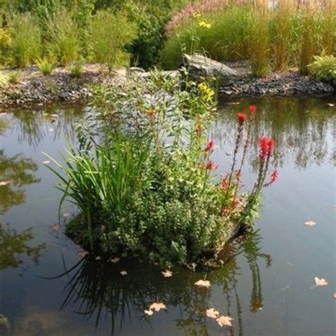 Floating Wetlands — Ecogardens