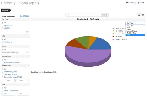 Discovery View For Data Analytics