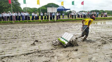 ပဲခူးတိုင်းဒေသကြီး အစိုးရဝန်ကြီးချုပ် ဦးမျိုးဆွေဝင်း ပေါင်းတည်မြို့နယ်၌ လက်ဆွဲကောက်စိုက် စက်ဖြင့
