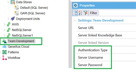 Issue Commiting To Genexus Server Stack Overflow