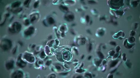 Microscopic Lymph Node Cells Moving In Unison Stock Footage Video Of Science Healthcare