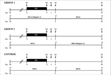 Estrous Synchronization Treatment To Ftai And Feeding Scheme Of