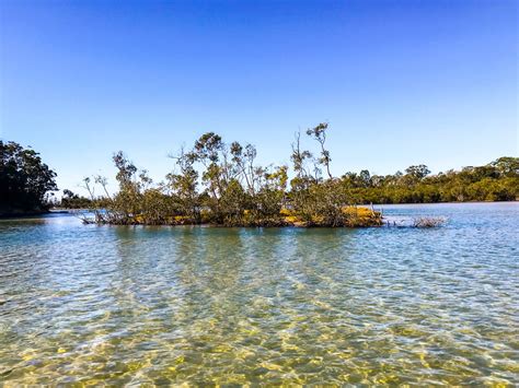 Stand Up Paddle Boarding Sup On Tallebudgera Creek Gold Coast