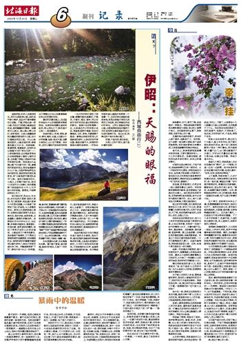 北海日报数字报 记录 副刊