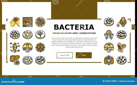 Bacteria Infection Landing Header Vector Stock Vector Illustration Of Enterococcus Antibodies