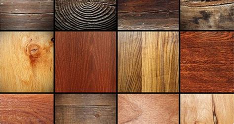 Types Of Wood For Cabinet Doors