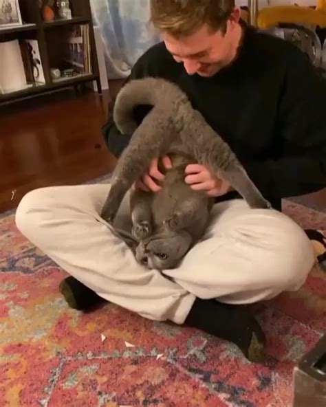 Bottom Up Programming Rcat