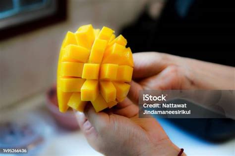 클로즈업 사진은 잘 익은 달콤한 망고를 한입 크기로 잘라 아름답게 서빙할 준비가 된 모습을 보여줍니다 개념에 대한 스톡 사진 및 기타 이미지 Istock