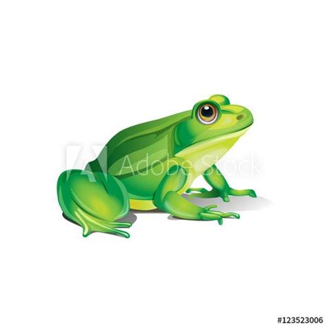 Pretty Realistic Tree Frog Art Pretty Realistic Tree Frog Art