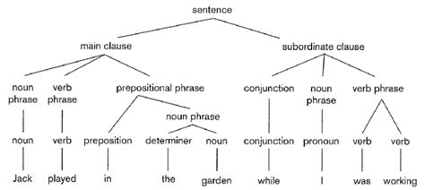 Levels Of Analysis