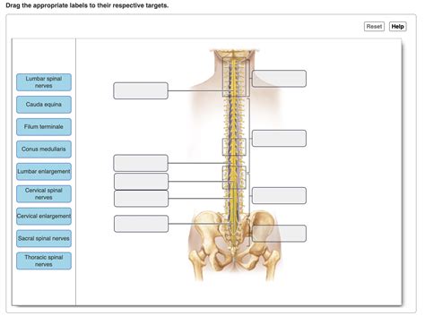 Solved Drag The Appropriate Labels To Their Respective Chegg