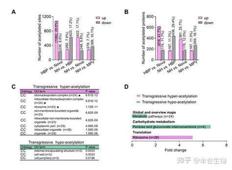 Plant Physiology 乙酰化组学重编程参与柑橘多倍化过程中果实代谢的建立 知乎