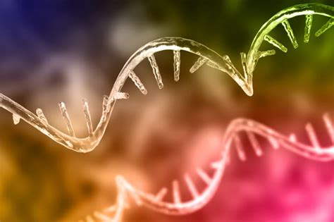 The Medicine Maker Optimizing Mrna Sequence Design