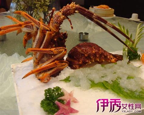 澳洲龙虾的做法大全图澳洲龙虾的做法大全 几个妙招教你做出美味的食物 2 伊秀美食 yxlady