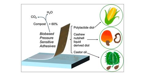 Biodegradable Polyurethane Pressure Sensitive Adhesives Using Biobased