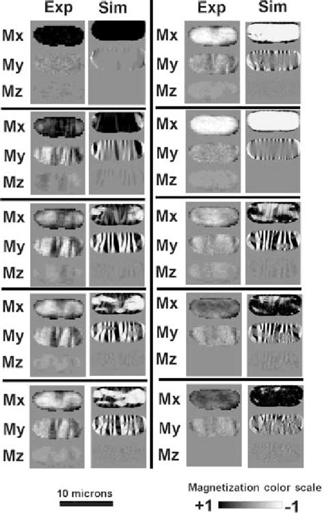 Experimental Measurement And Numerical Simulation Of 180 • Dynamic