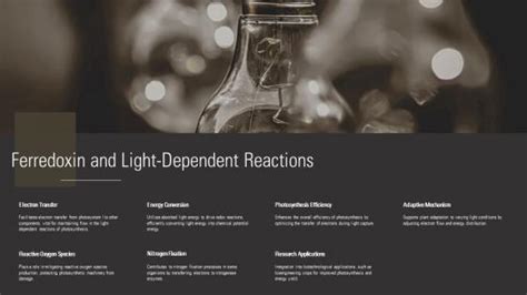Light Dependent Reactions Powerpoint Presentation And Slides Ppt Example Slideteam