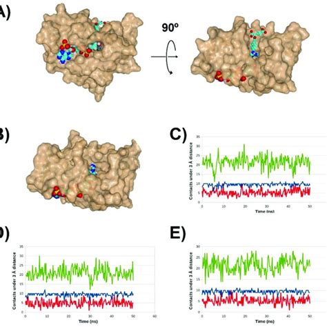 Comparing Binding Modes Of Chromosomally Encoded Prokaryotic