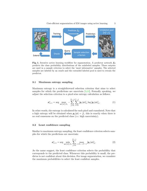 Cost Efficient Segmentation Of Electron Microscopy Images Using Active