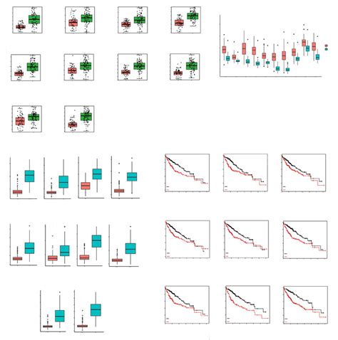 Expression Validation And Survival Association Analysis Of The Hub Download Scientific Diagram