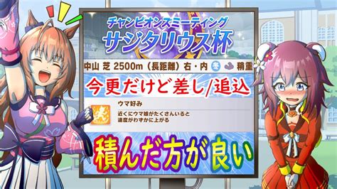 サジタリウス杯今さらだけど差し追込はウマ好み積んだ方が良いよという話【ウマ娘】 ウマ娘動画まとめ