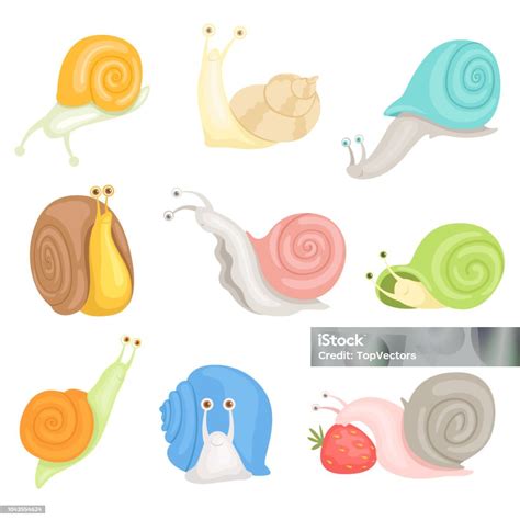 쾌활 한 작은 정원 달팽이 세트 흰색 바탕에 화려한 조개와 귀여운 조개 벡터 일러스트 달팽이에 대한 스톡 벡터 아트 및 기타 이미지 달팽이 에스카르고 갈색 Istock