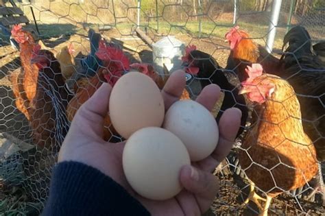 Why Threat Modeling Can Reduce Your Cybersecurity Risk Reportwire