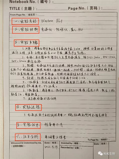 合格的科研人—合格的原始数据和实验记录 哔哩哔哩