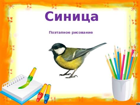 Синица Поэтапное рисование 4 класс