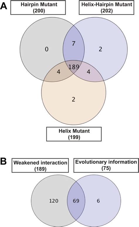 Figures And Data In Allosteric Signalling In The Outer Membrane Translocation Domain Of Papc