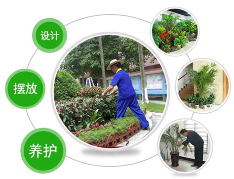 嘉定花卉植物租赁保养 上海卉莘园林绿化有限公司