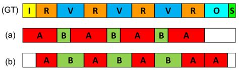 Illustration Of The Structure Segmentation Result Derived From The Two