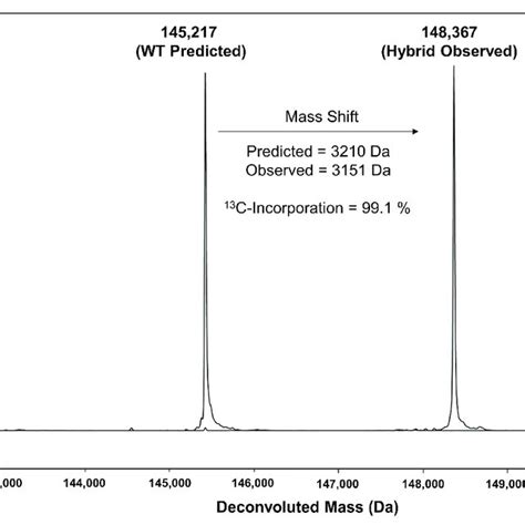 Intact Mass Analysis Of The Hybrid Molecule Right Side Compared To