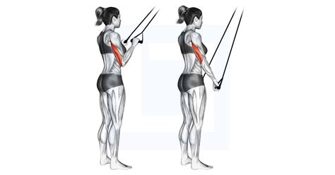 Band Pushdown Guide Benefits And Form