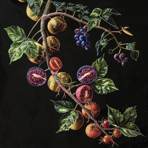 Mendelian Genetics Gregor Mendels Inheritance Laws