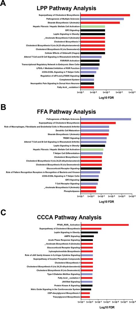 pathway analysis of lpp ffa and ccca revealed shared dysregulated download scientific diagram