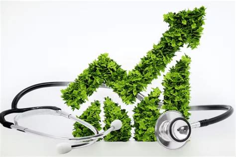 Healthcare Operational Efficiency Systems