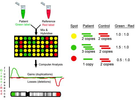 Current Protocols In Human Genetics Vol 105 No 1