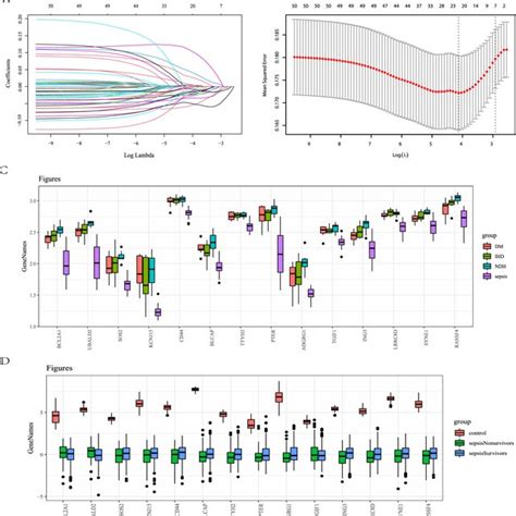 a lasso regression of the variable selection b the area of best λ