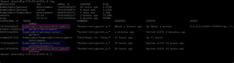 Failed To Create Multiple Containers With Same Tag Using Gateway Createsh Error `container