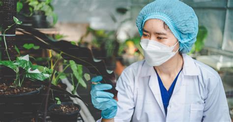 생물학 과학 실험실 유전 기술 과학 생태 연구 식물 성장 샘플 실험 검사 테스트에서 일하는 생명 공학 연구 과학자 사진 Unsplash의 산업 이미지