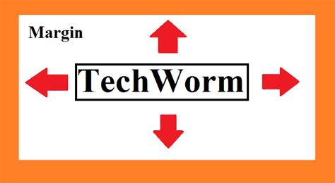 CSS Margin ve Padding Nedir Nasıl Kulllanılır TechWorm