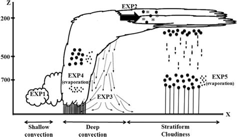 Schematic Diagram Of Typical Evolution Associated With Convectively Download Scientific Diagram
