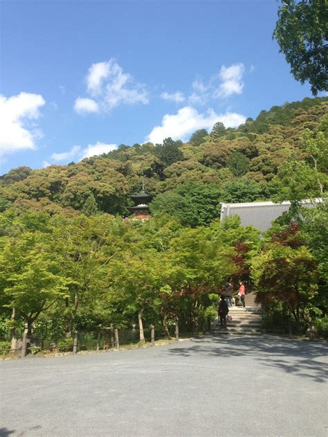 무성한 녹색 언덕 옆 길을 걷고 있는 한 무리의 사람들 사진 Unsplash의 무료 교토 이미지