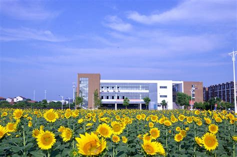 上海财经大学浙江学院 招生网站上海财经大学浙江学院 专业介绍招生资讯 院校直通车