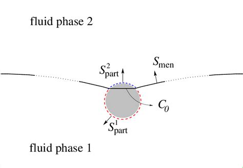 A General Configuration Of The Particle And The Fluid Interface The Download Scientific