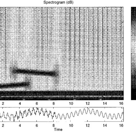 Scalogram Of The Synthetic Signal In The Noise Free Case Frequencies